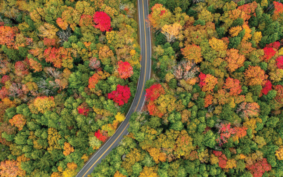 West Virginia Releases 2022 Fall Foliage Map Al Jazeera News Today West Virginia Releases 2022 Fall Foliage Map Al Jazeera News Today
